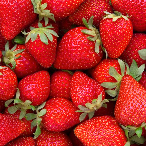 Five Fruits for Pre-Season Performance | SIXSTAR